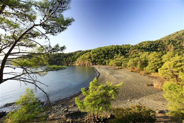 Beycik Bükü Koyu Kamp Alanı Ve Ulaşım Bilgileri - Kamp Yerleri: Kamp ...