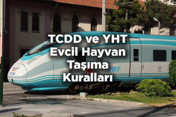 TCDD ve YHT Evcil Hayvan Taşıma Kuralları - Yüksek Hızlı Trene Evcil Hayvan Alınıyor Mu? - Kamp ...