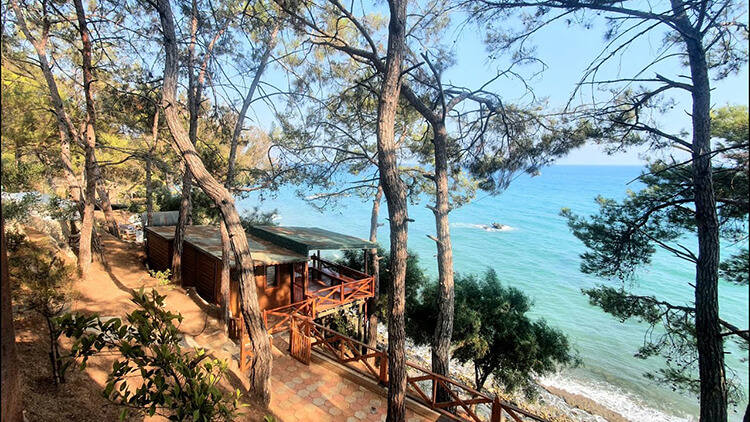 Pullu Tabiat Parkı 2024 Giriş Ücretleri - Pullu Tabiat Parkı Nerede Ve ...